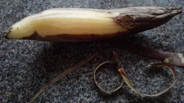 Gefermenteerde yacon | Keto en zo
